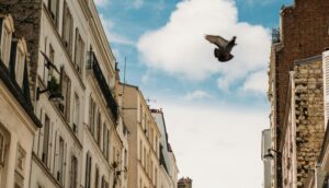 iad Immo : Le Réseau Immobilier Digital Qui Réinvente le Métier d’Agent ...